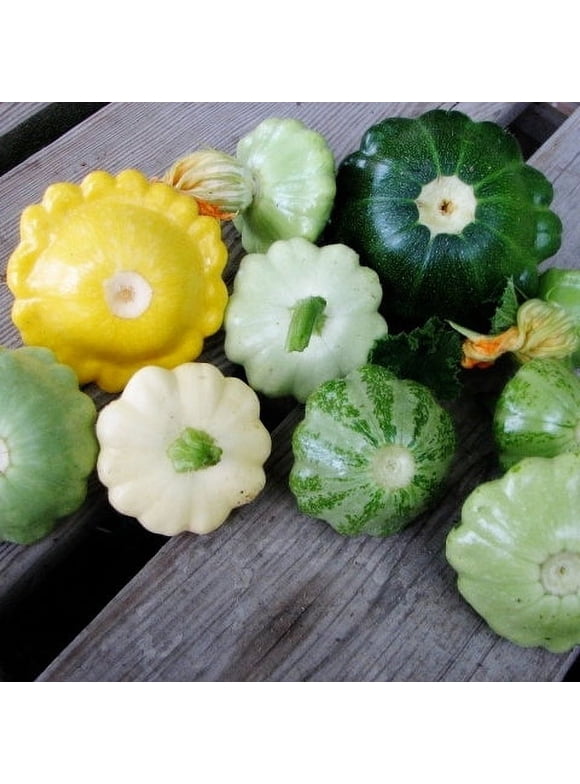 Squash Seeds in Seed Gardening - Walmart.com