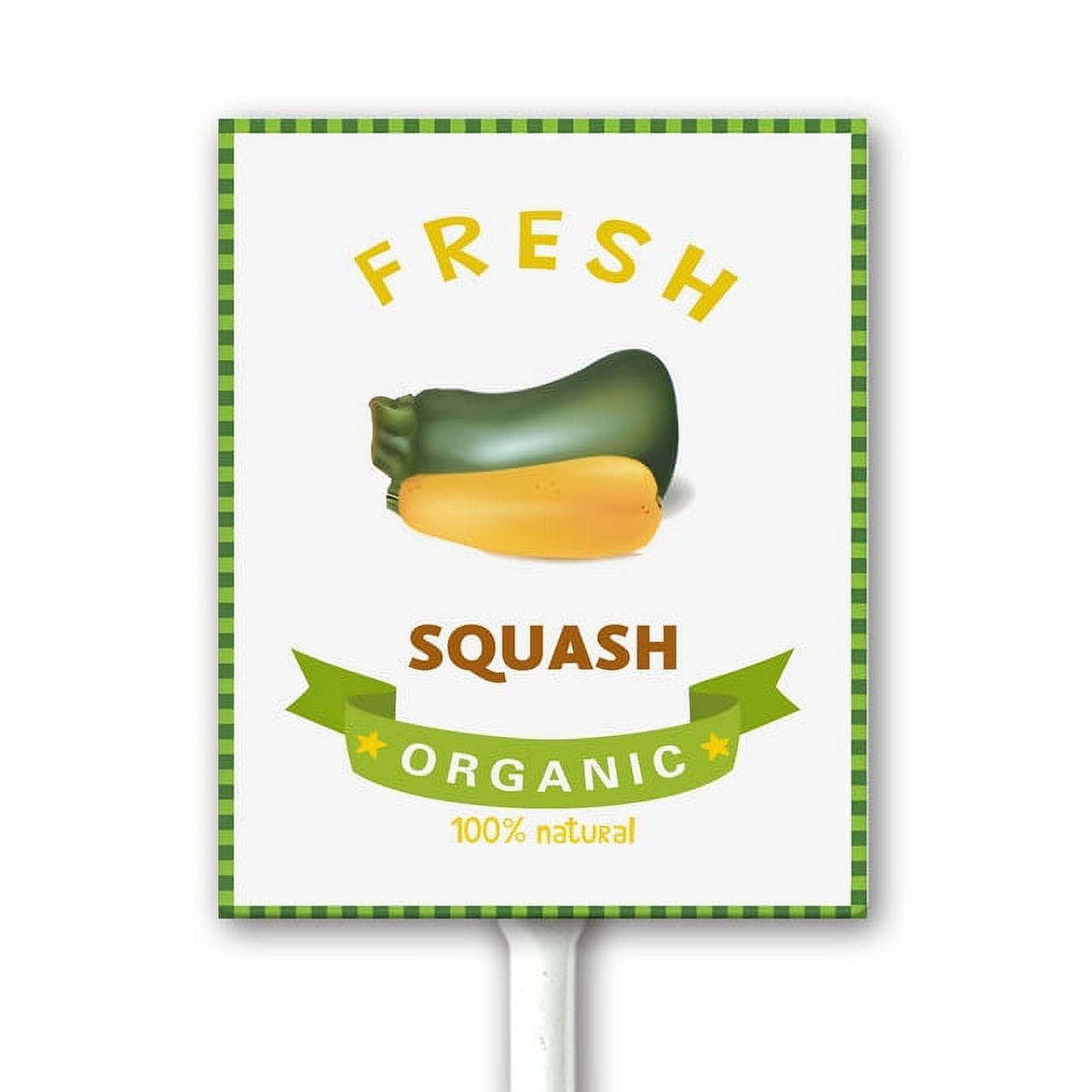Squash Vegetable Garden Signs Metal Yard Sign With Stake Perfect for ...