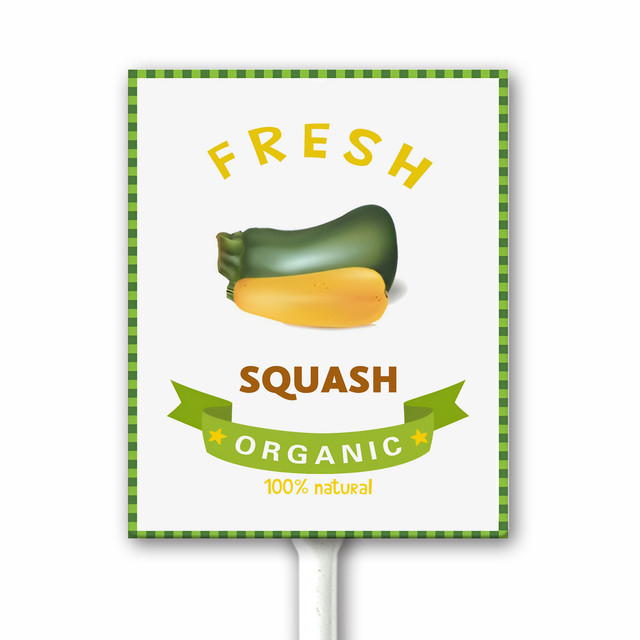 Squash Vegetable Garden Signs Metal Yard Sign With Stake Perfect for ...