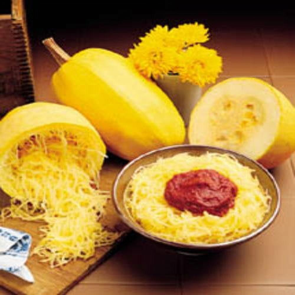 Seed Kingdom 100 Squash Vegetable Spaghetti Plant Seeds, Heirloom ...