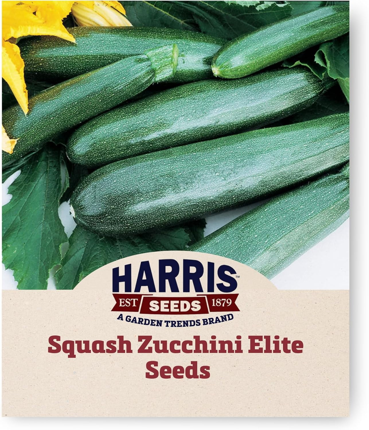 Harris Seeds - Squash Zucchini Elite F1 Classic Cylindrical Shape ...