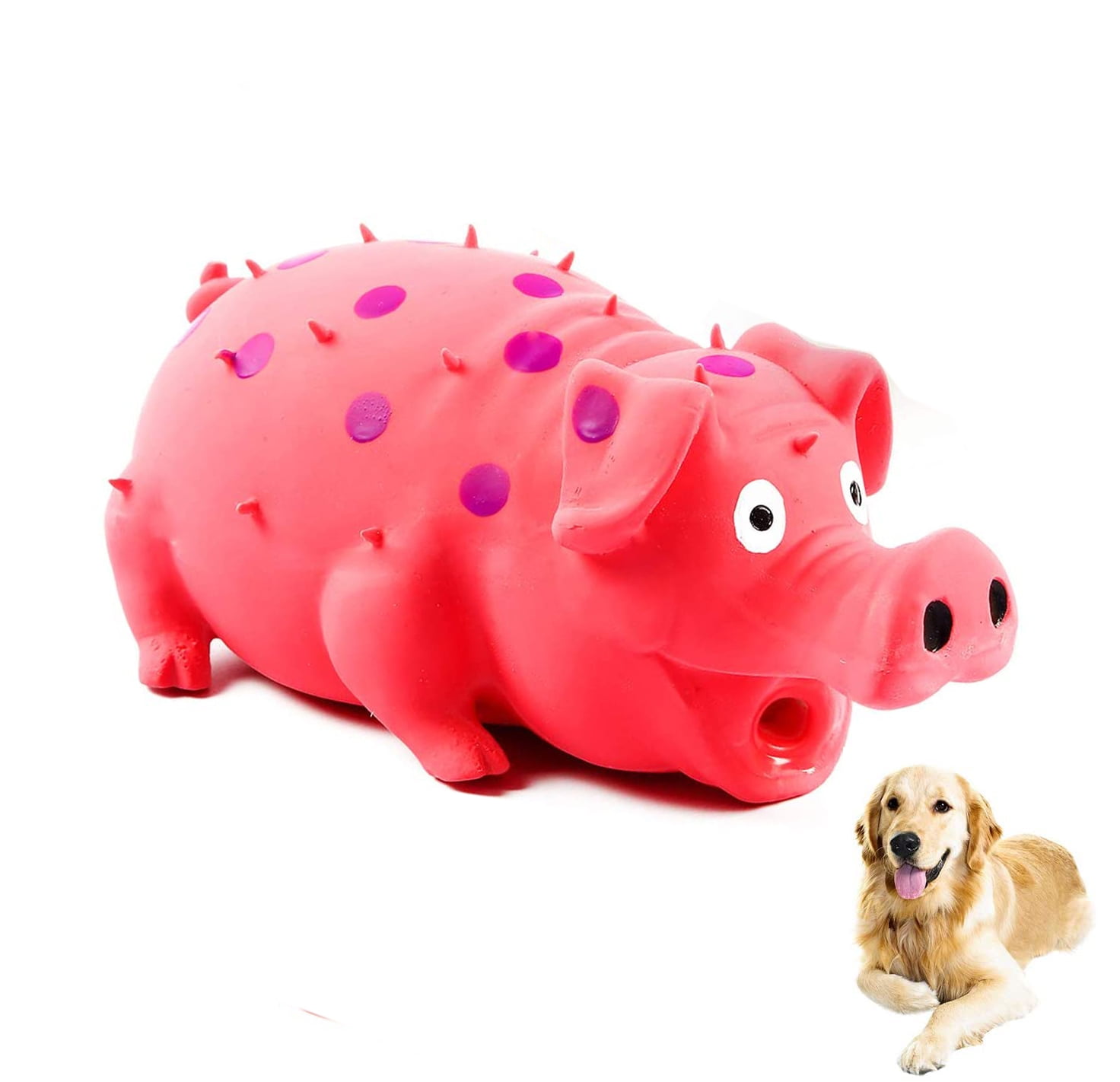 Squeaky Pig Dog Toys, Grunting Pig Dog Toy That Oinks Grunts for Small ...