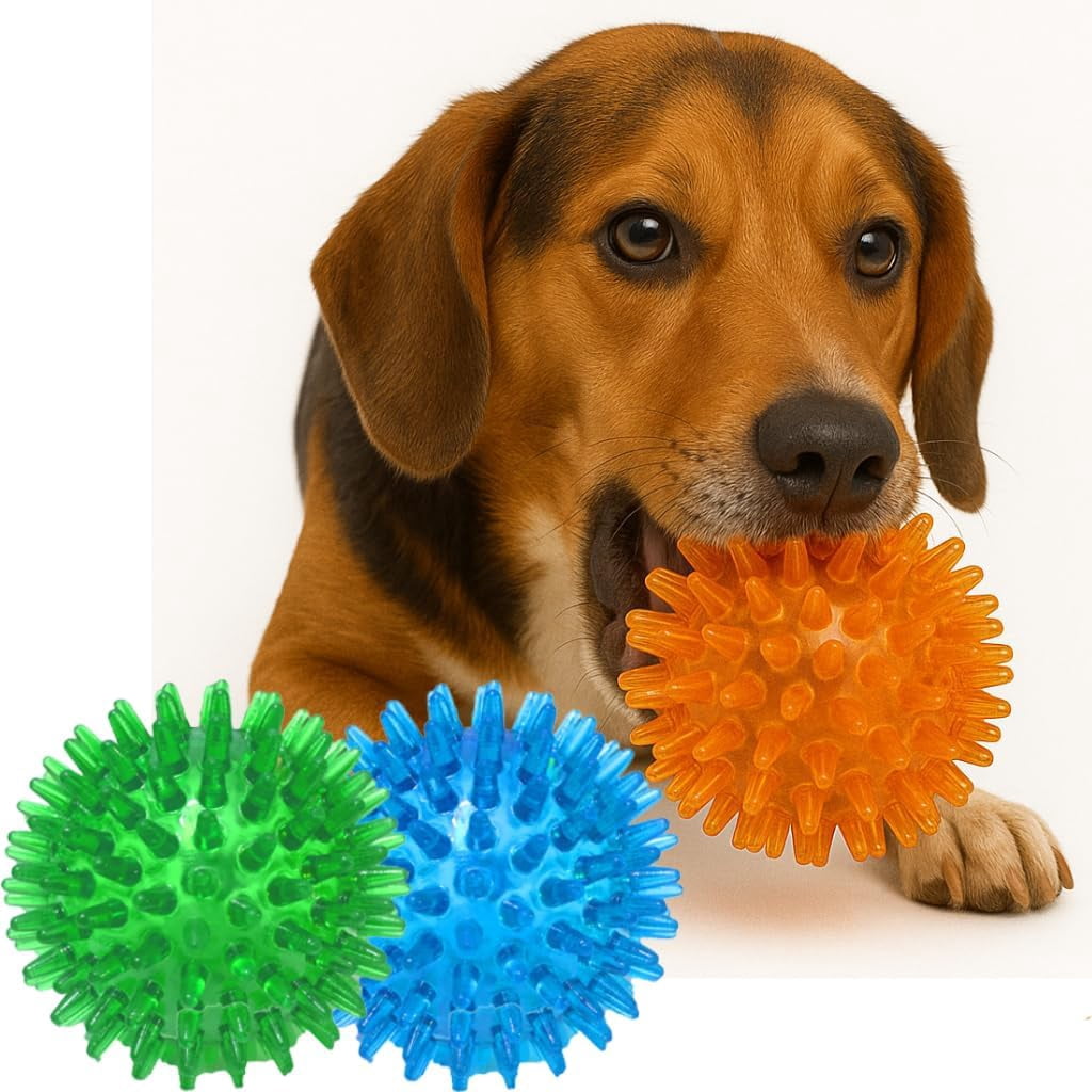 Squeaky Value Set Squeaky Balls Toss Fetch TPR Rubber Puppy Spikey for ...