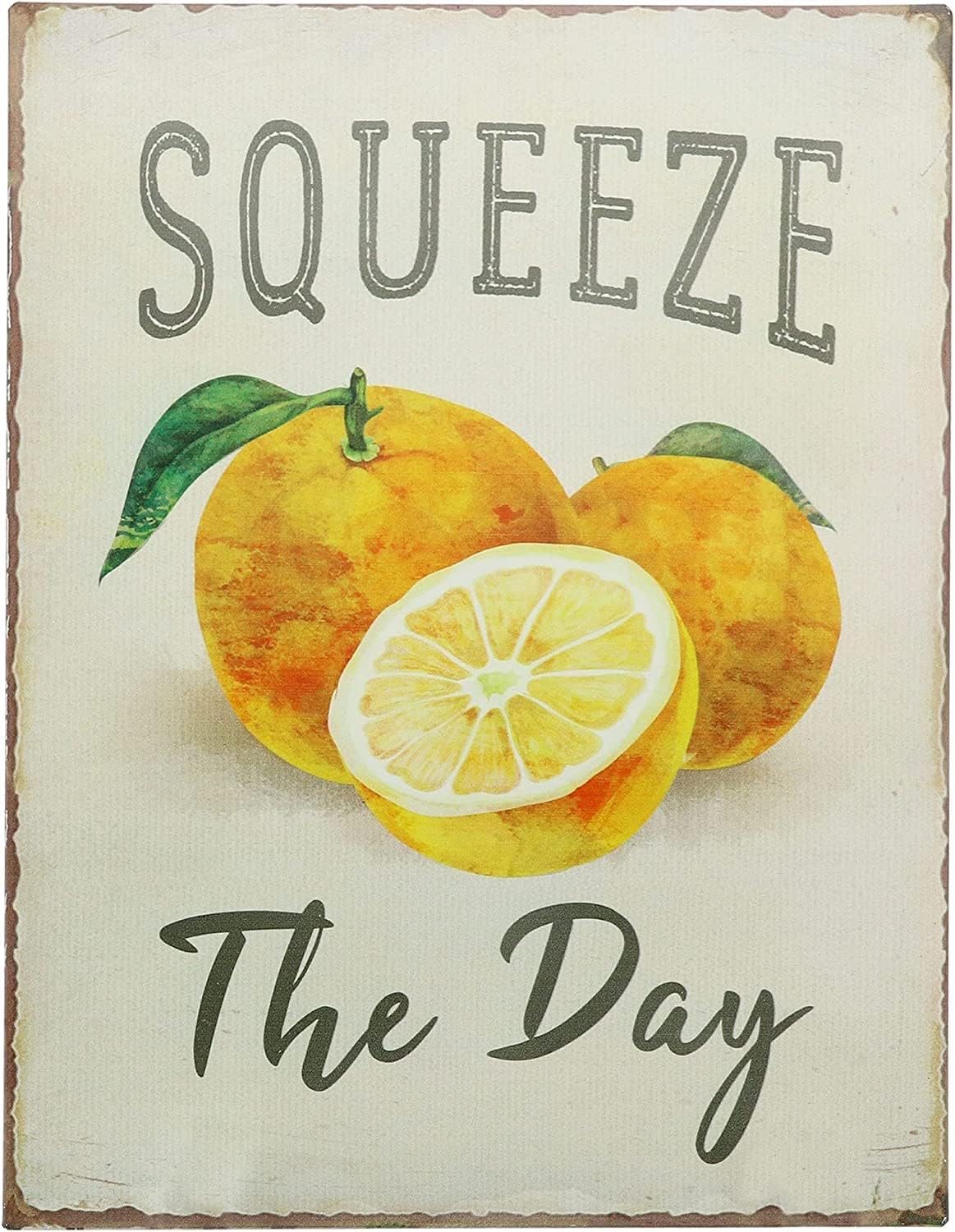 Squeeze The Day Poster Retro Tin Signs Sign for Street Garage Family ...