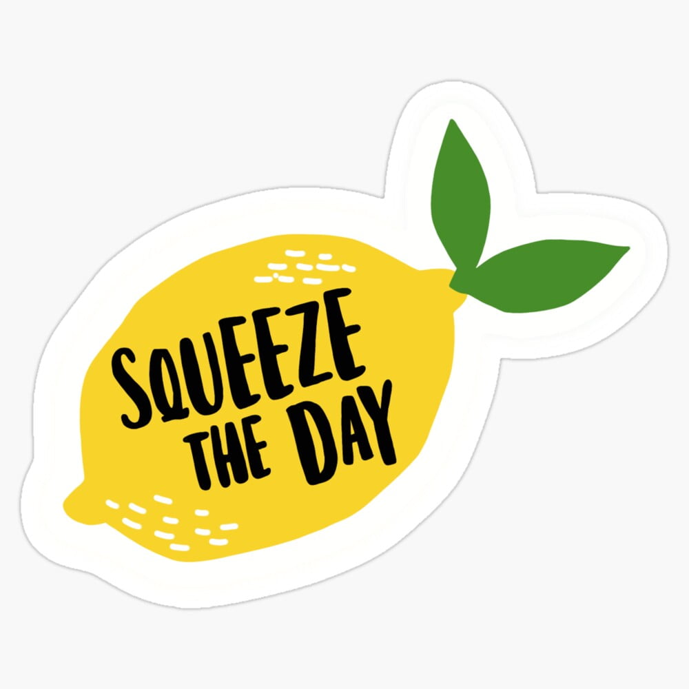 Squeeze The Day Sticker Phone Decal Water Bottle Stickers Car Decals ...
