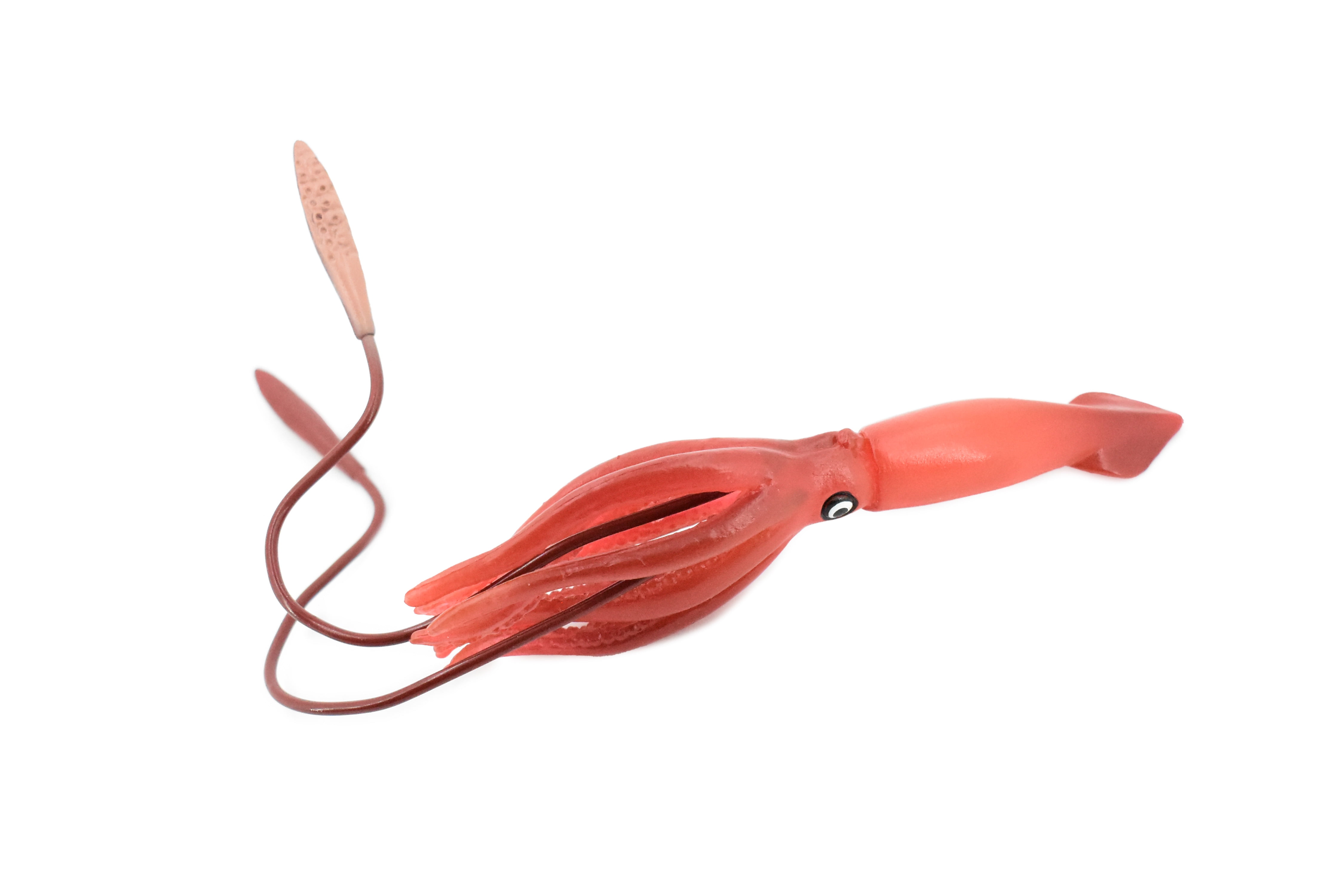 Squid, Giant, Architeuthis dux, Museum Quality, Rubber Animal, Hand ...