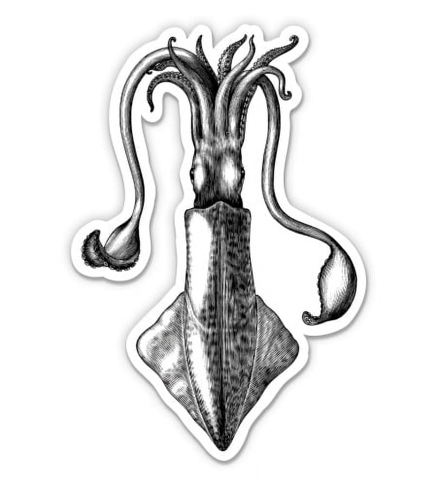 Squid Vintage Illustration - 5" Vinyl Sticker - For Car Laptop I-Pad ...