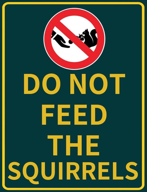 Squireel Metal Sign, Do Not Feed Squirrels Outdoor Sign for Yard ...