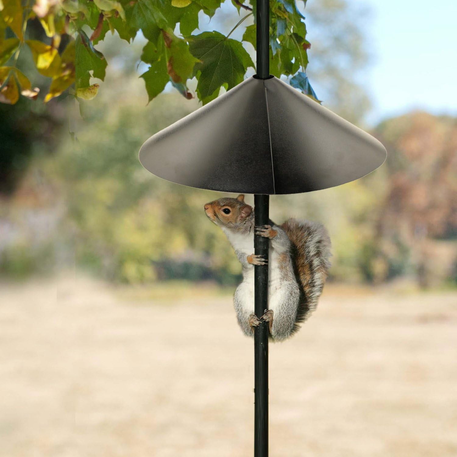 Squirrel Baffle for Bird Feeder, Squirrel Baffle for Bird Feeder Pole ...