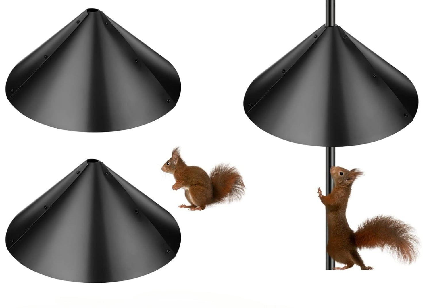 Squirrel Baffle Black Squirrel Plastic Wide One-Piece Wrap Around Guard ...