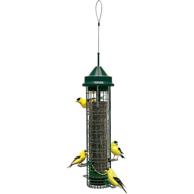 Free Shipping! Squirrel Buster Classic Finch Squirrel-proof Hanging ...