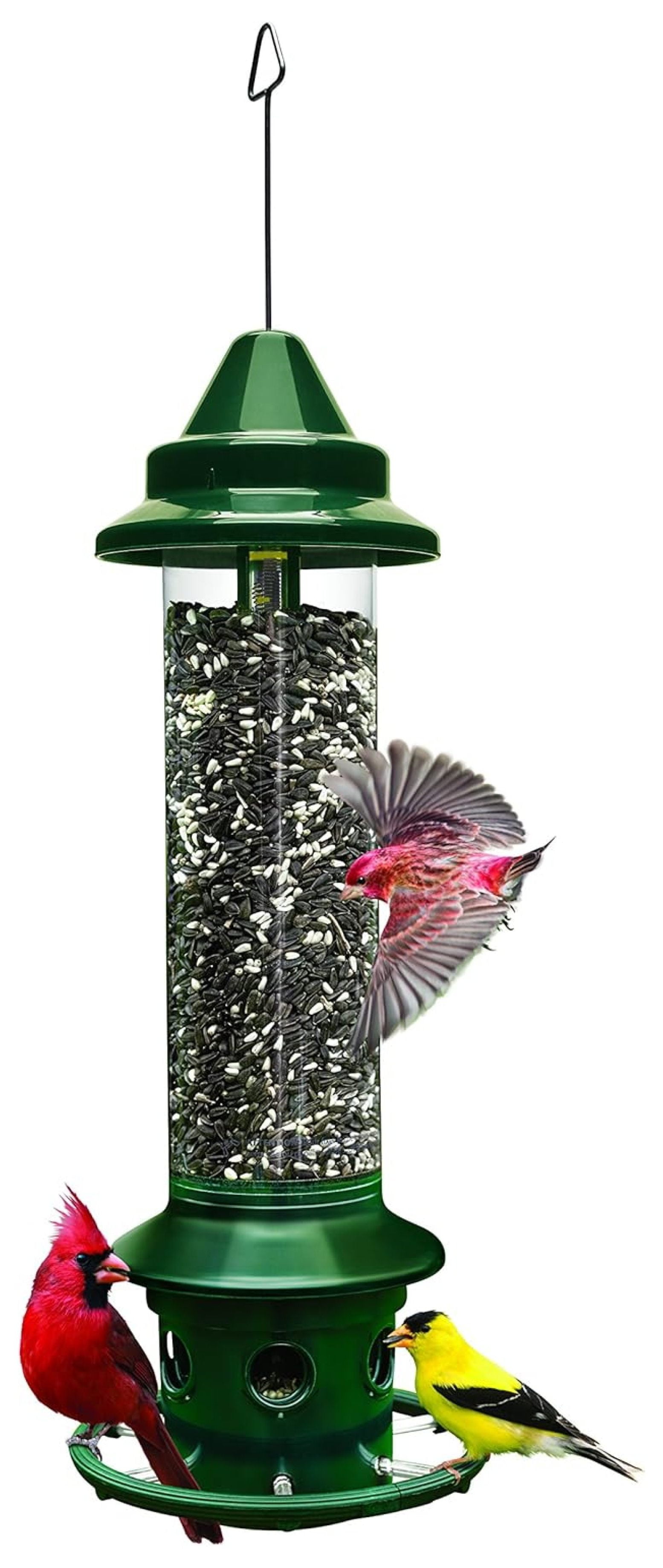 Squirrel Buster Plus Squirrel-proof Feeder w/Cardinal Ring and 6 ...
