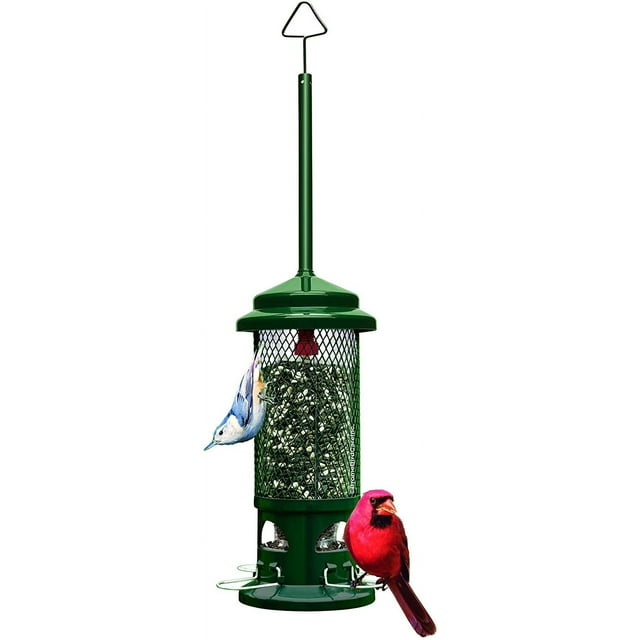 Squirrel Buster Standard Squirrel Proof Bird Feeder W4 Metal Perches 13 Pound Seed Capacity