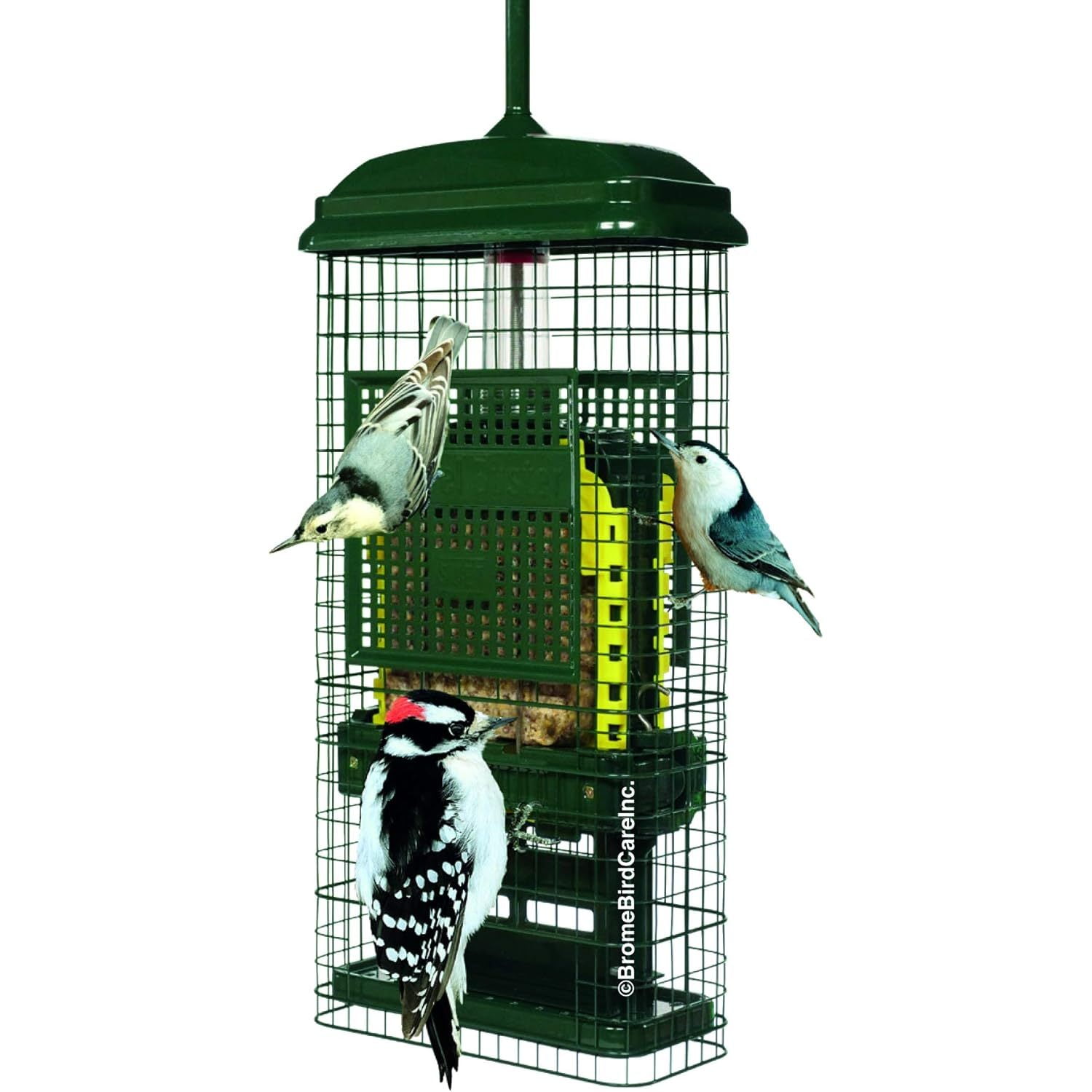 Squirrel Buster Suet Squirrel-Proof Suet Bird Feeder with Two Suet Cake ...