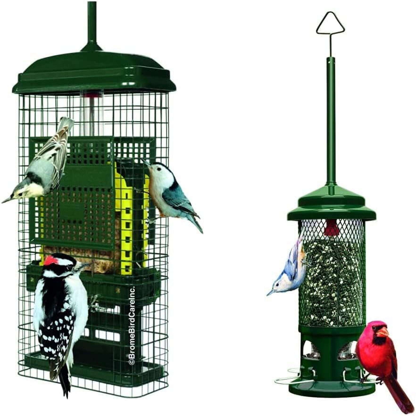Squirrel Buster Suet Squirrel-proof Suet Bird Feeder w/2 Suet Cake ...