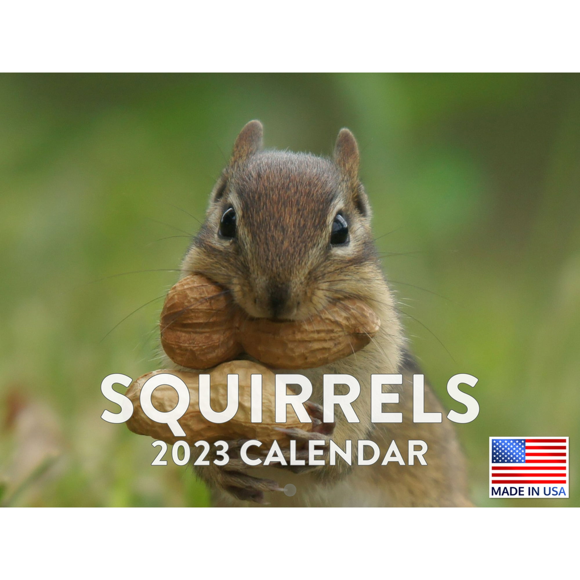 Lovely Squirrels