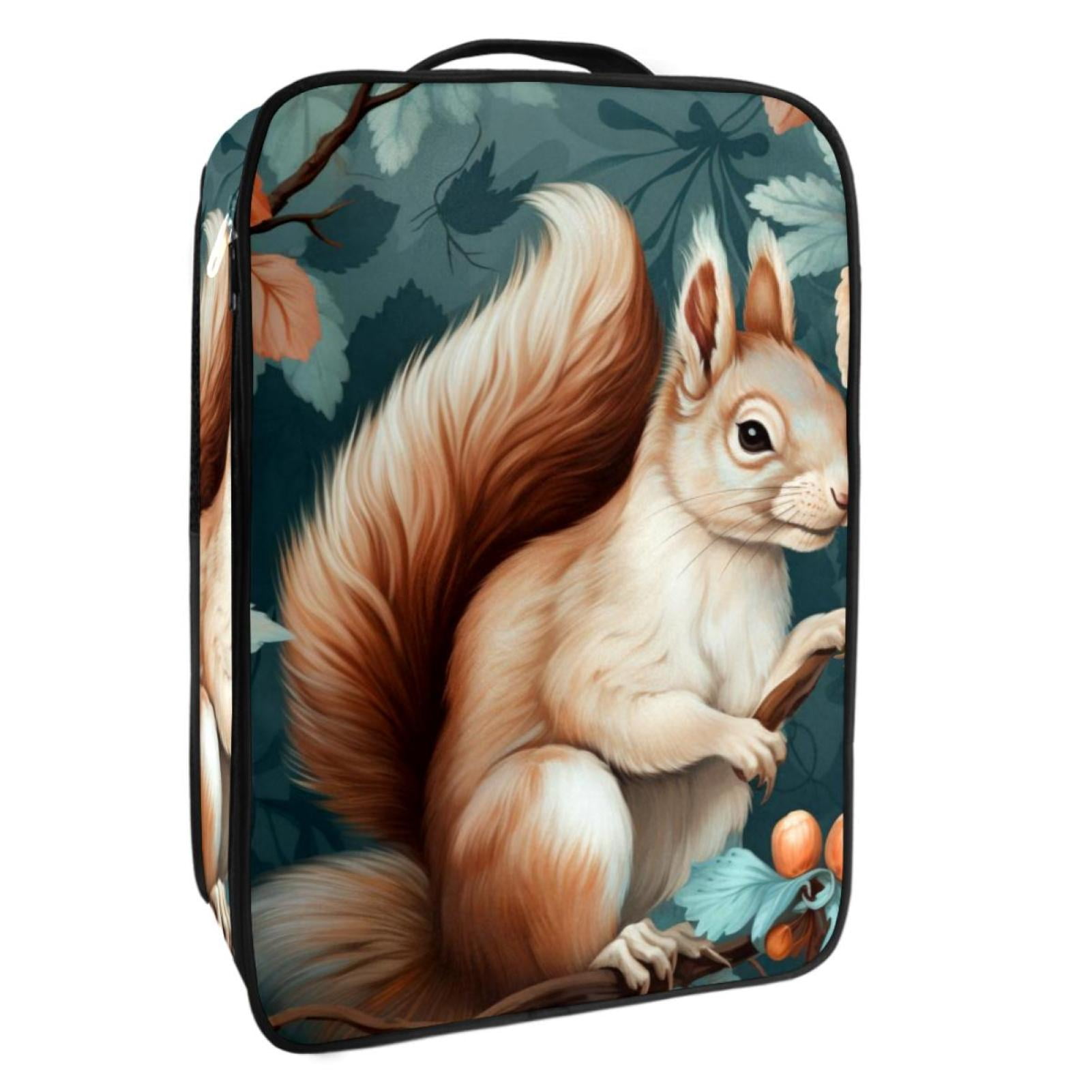 Squirrel Clear Polyester Shoe Containers 23x31cm9x12in Shoe Storage Boxes Organizers For