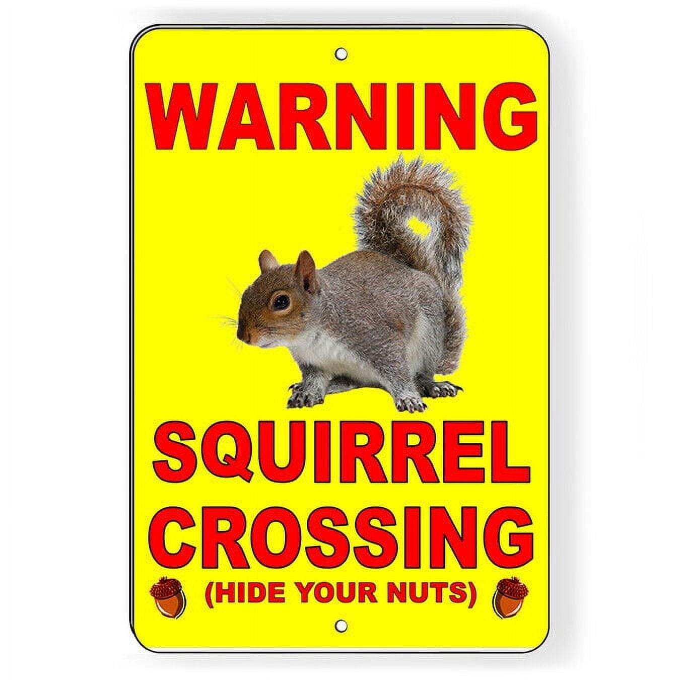 Squirrel Crossing Hide Your Nuts Metal Sign funny novelty Size: 8 x 12 Inch - Walmart.com