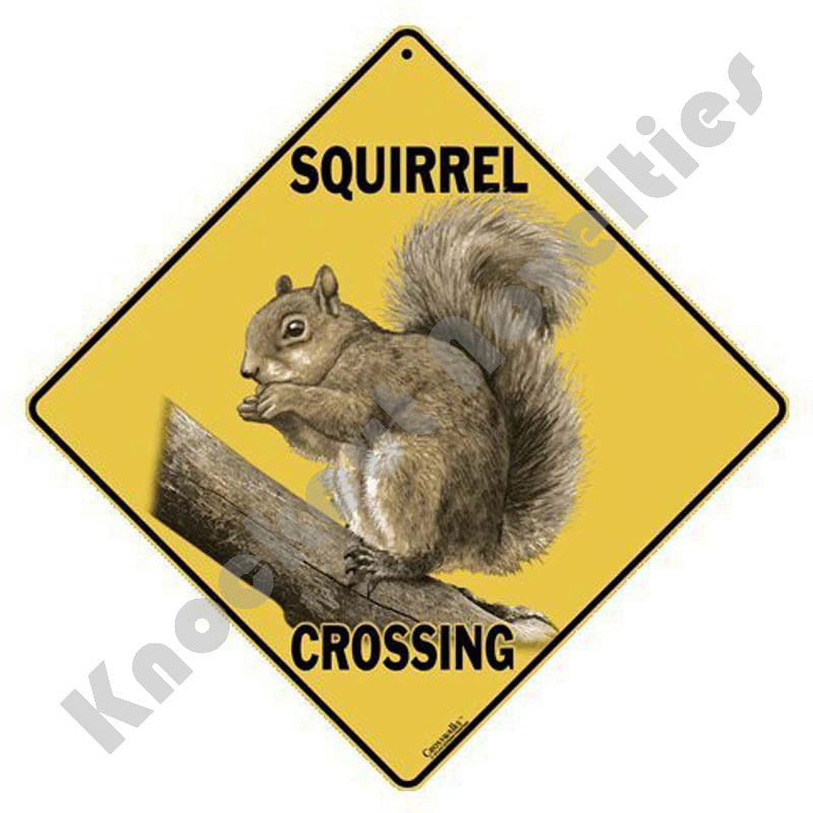 Squirrel Crossing - Sign - Walmart.com