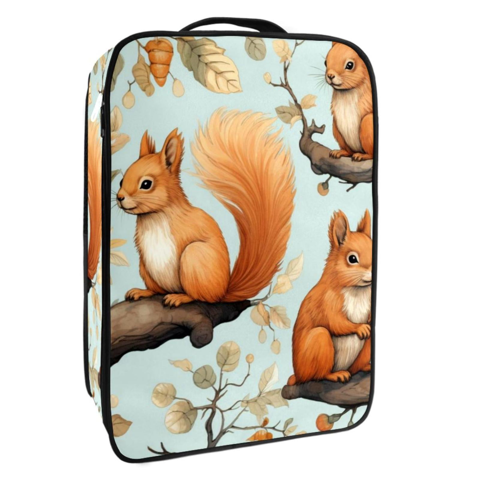 Squirrel Durable Polyester Shoe Box - 23x31cm/9x12in | Organize and ...