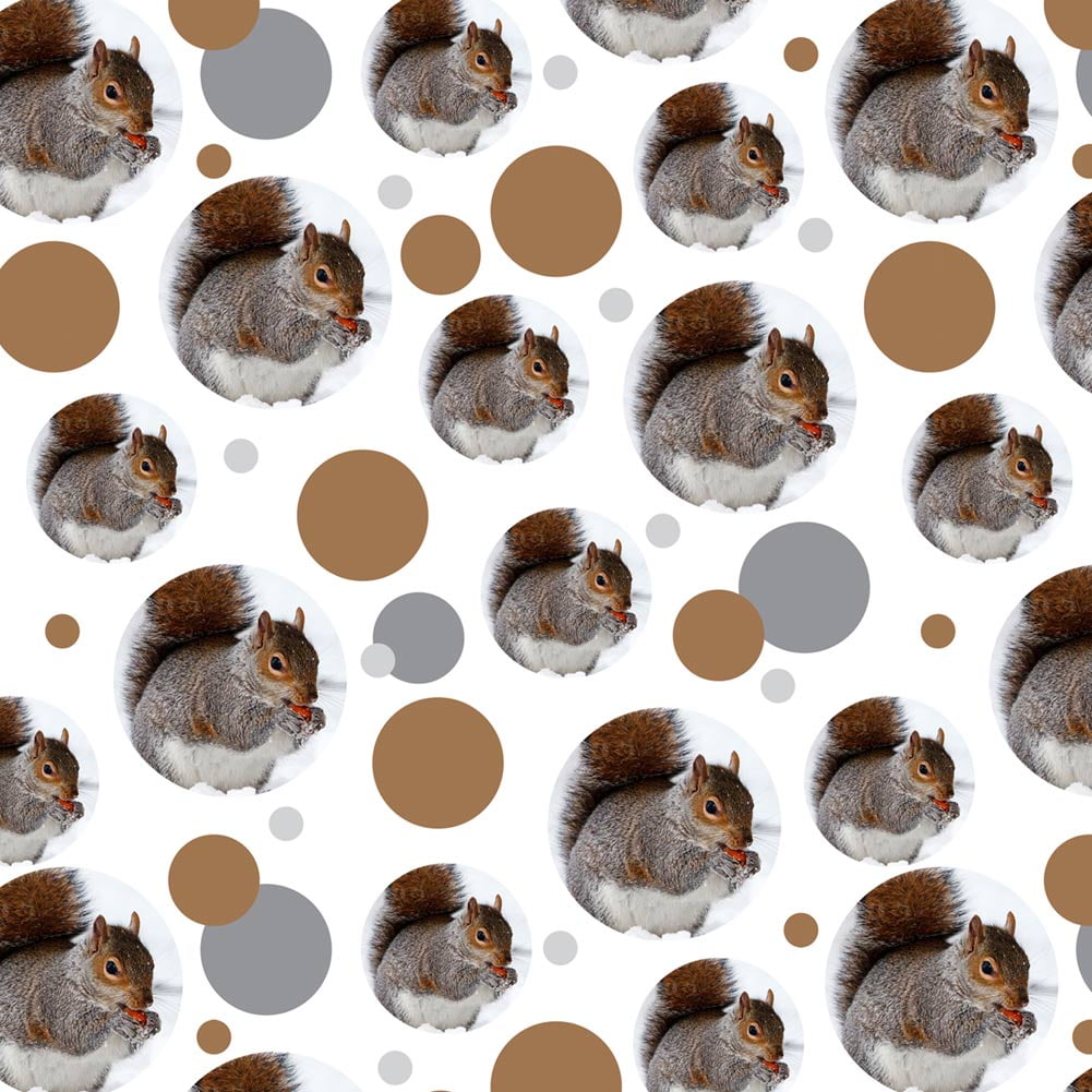 Squirrel Eating in Winter Premium Gift Wrap Wrapping Paper Roll Pattern ...