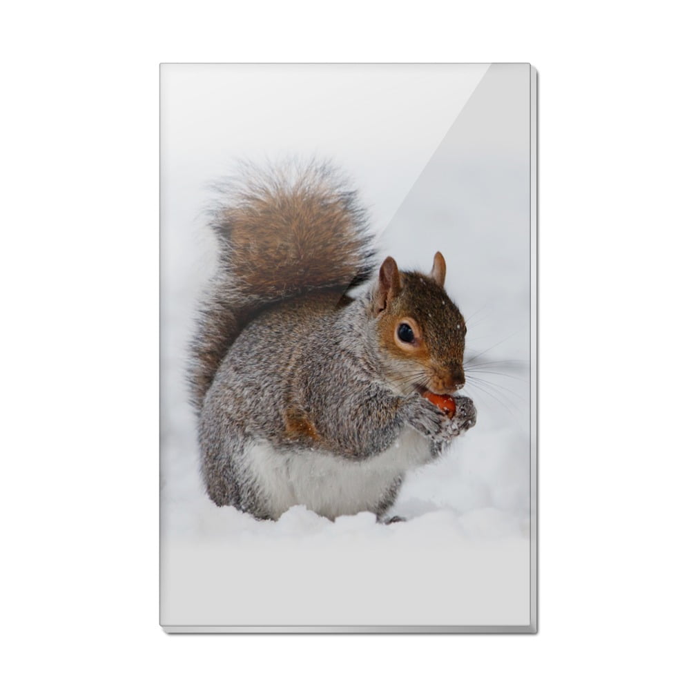 Squirrel Eating in Winter Rectangle Acrylic Fridge Refrigerator Magnet ...