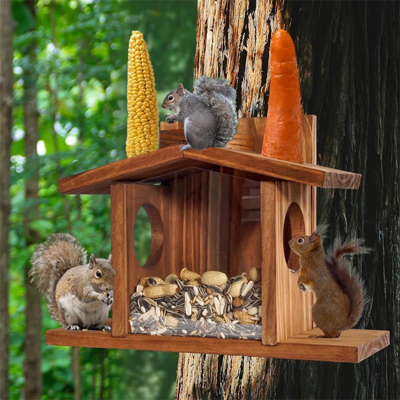 Squirrel Feeder Outdoor Wall-Mounted Squirrel Feeding Winter Hamster ...