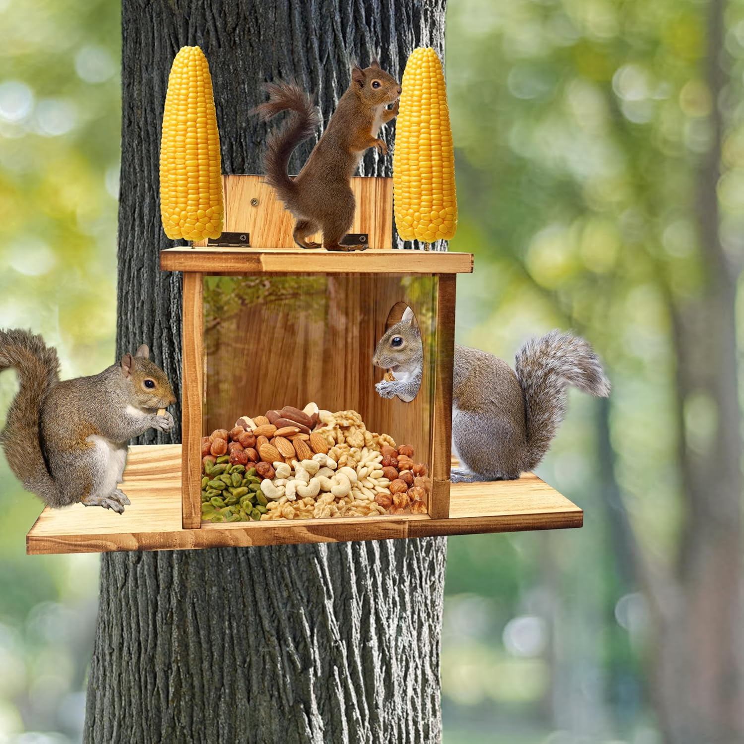 Squirrel Feeders for Outside - Window Squirrel Feeder with Transparent ...