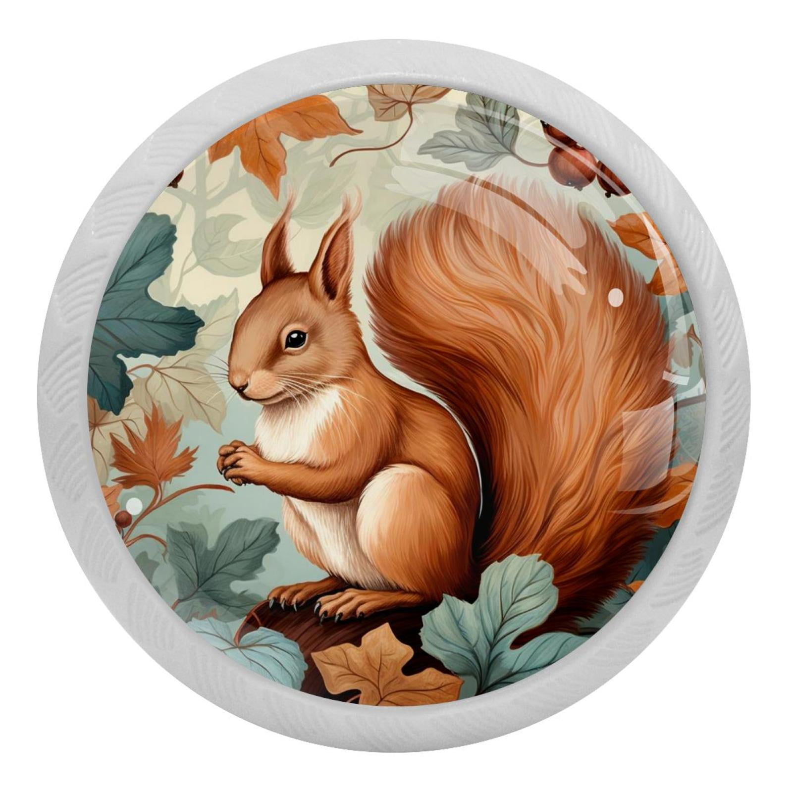Squirrel Fluorescent Drawer Pulls with Screws - Round 4-Pack Glow-in ...
