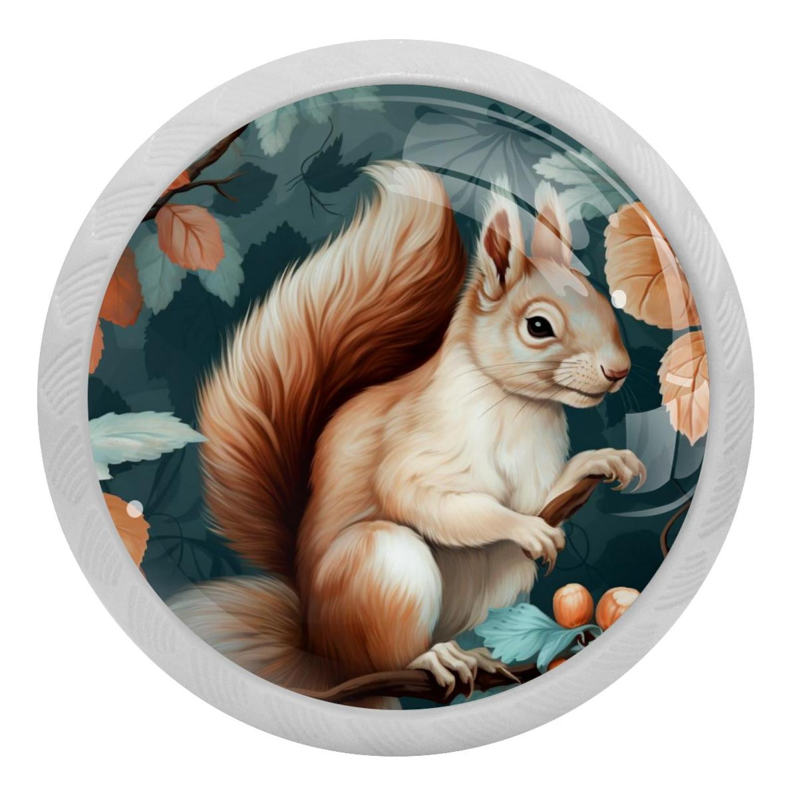 Squirrel Fluorescent Glow-in-the-Dark Cabinet Door Knobs - Round 4-Pack ...