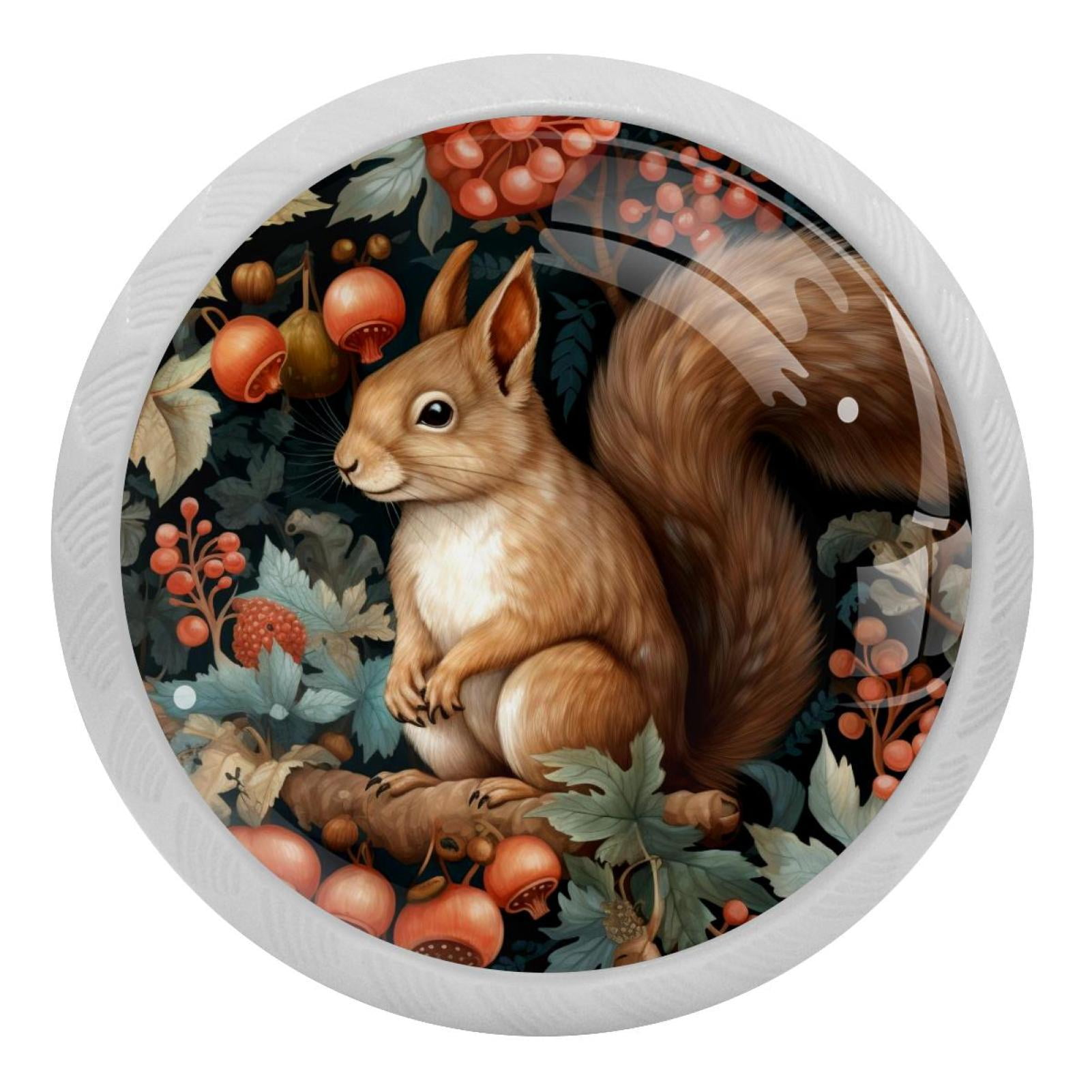 Squirrel Fluorescent Glow-in-the-Dark Drawer Pulls: 4-Pack Round Knobs ...