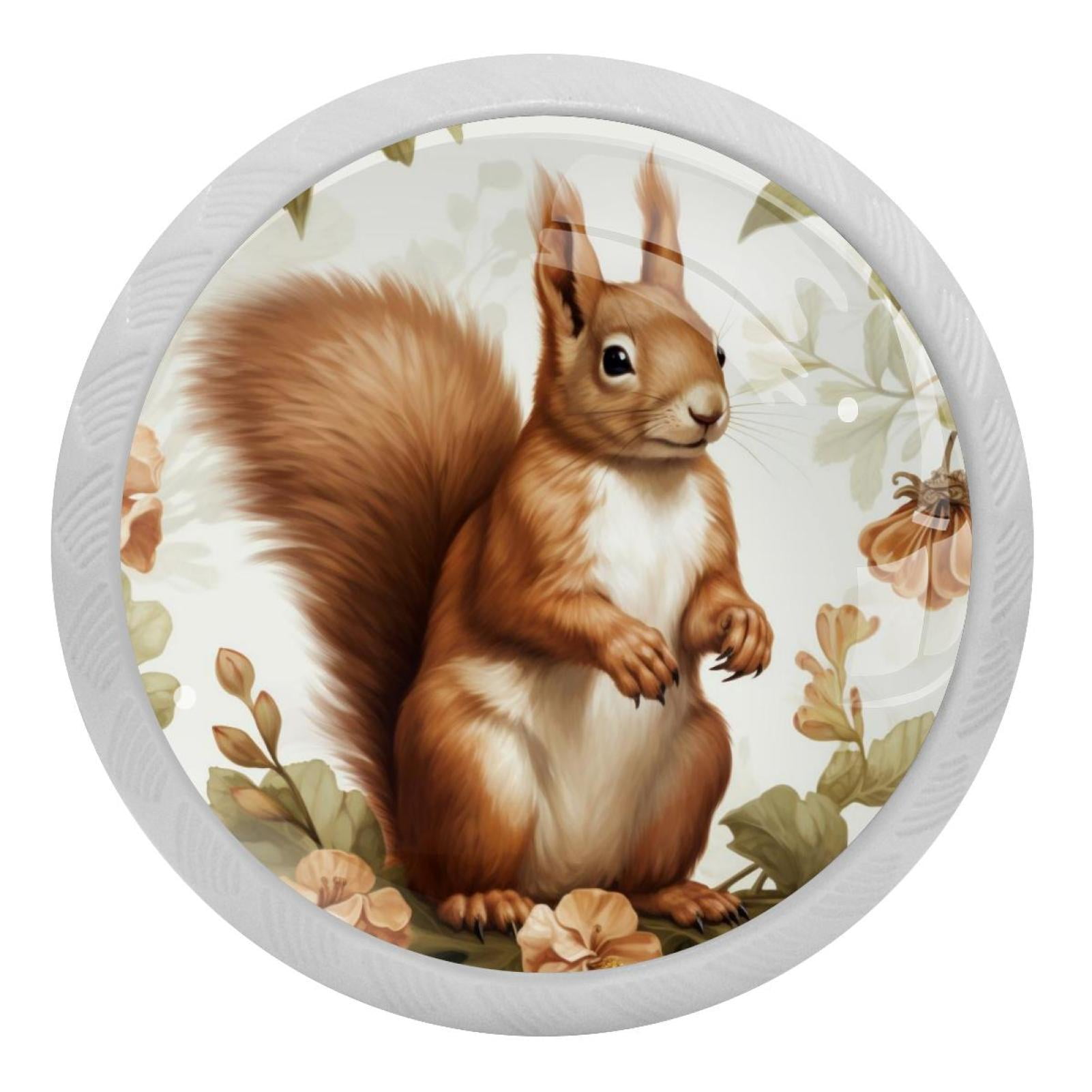 Squirrel Fluorescent Glow-in-the-Dark Drawer Pulls: 4-Pack Round Knobs ...