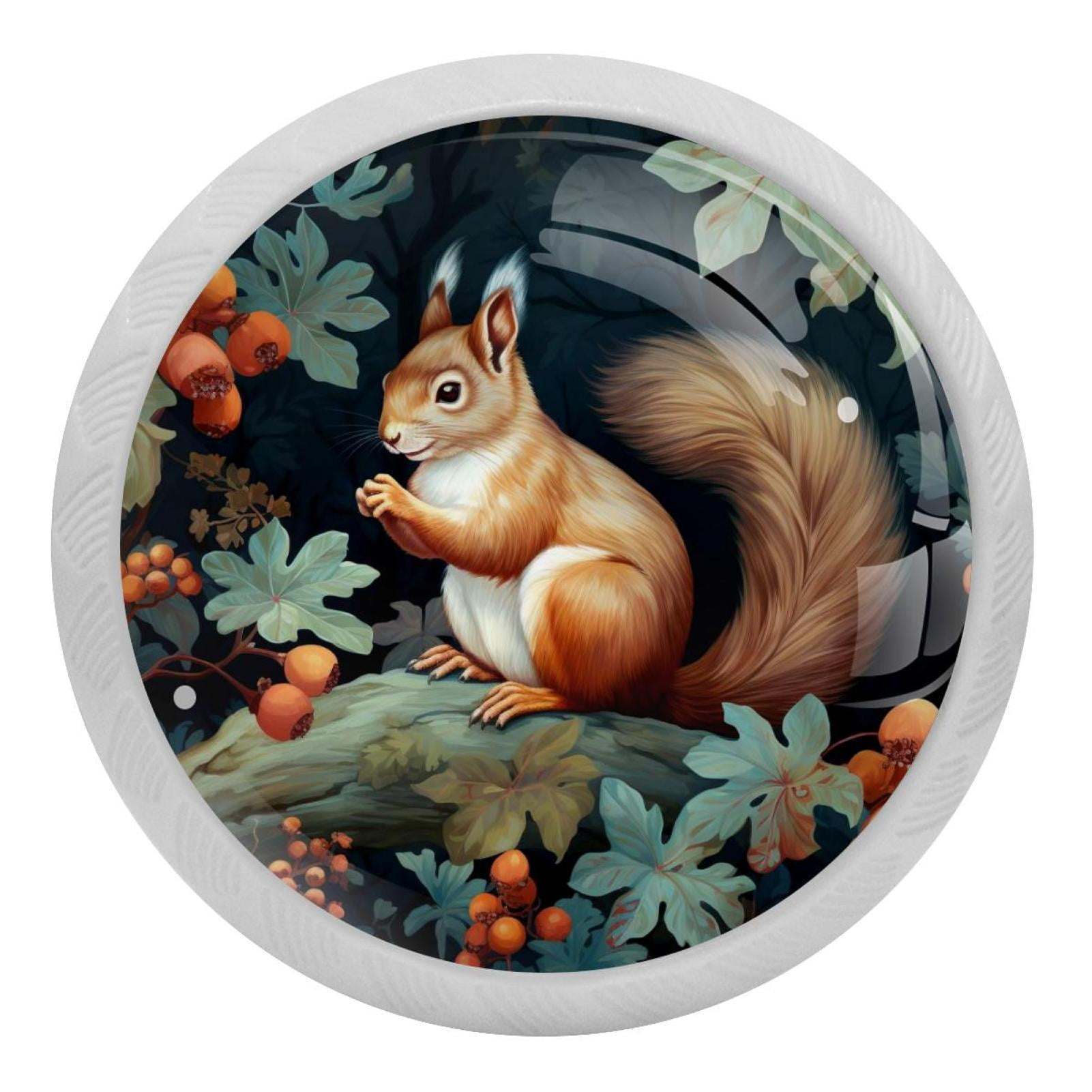 Squirrel Fluorescent Glow-in-the-Dark Dresser Pulls with Screws - Round ...