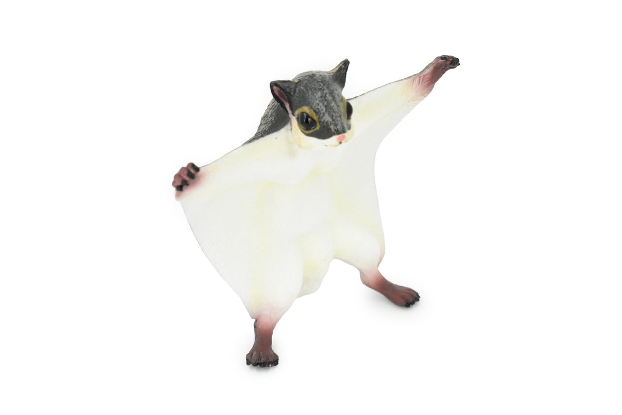 Squirrel, Flying Squirrel, Museum Quality, Hand Painted, Rubber Mammal ...