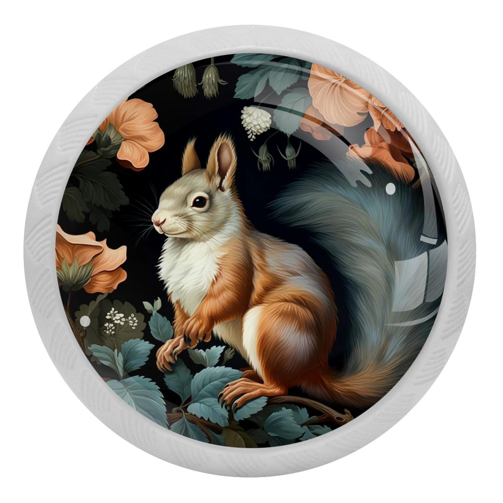 Squirrel Glow-in-the-Dark Fluorescent Drawer Pulls - Round 4-Pack ...