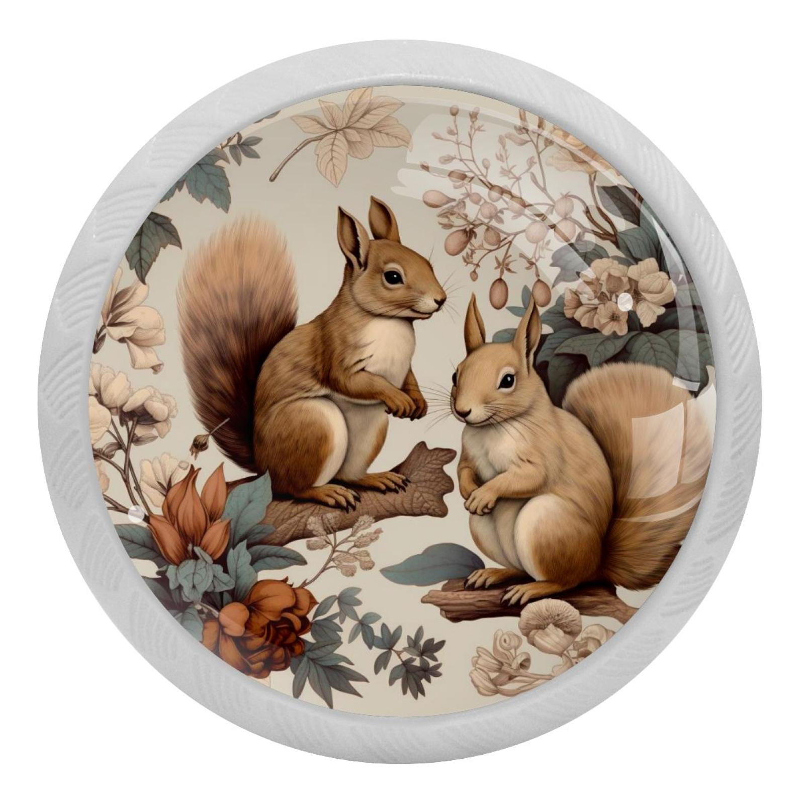 Squirrel Glow-in-the-Dark Fluorescent Drawer Pulls with Screws - 4-Pack ...