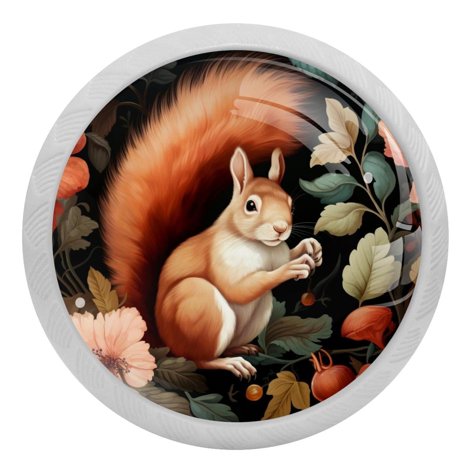 Squirrel Glow-in-the-Dark Fluorescent Drawer Pulls with Screws - Round ...