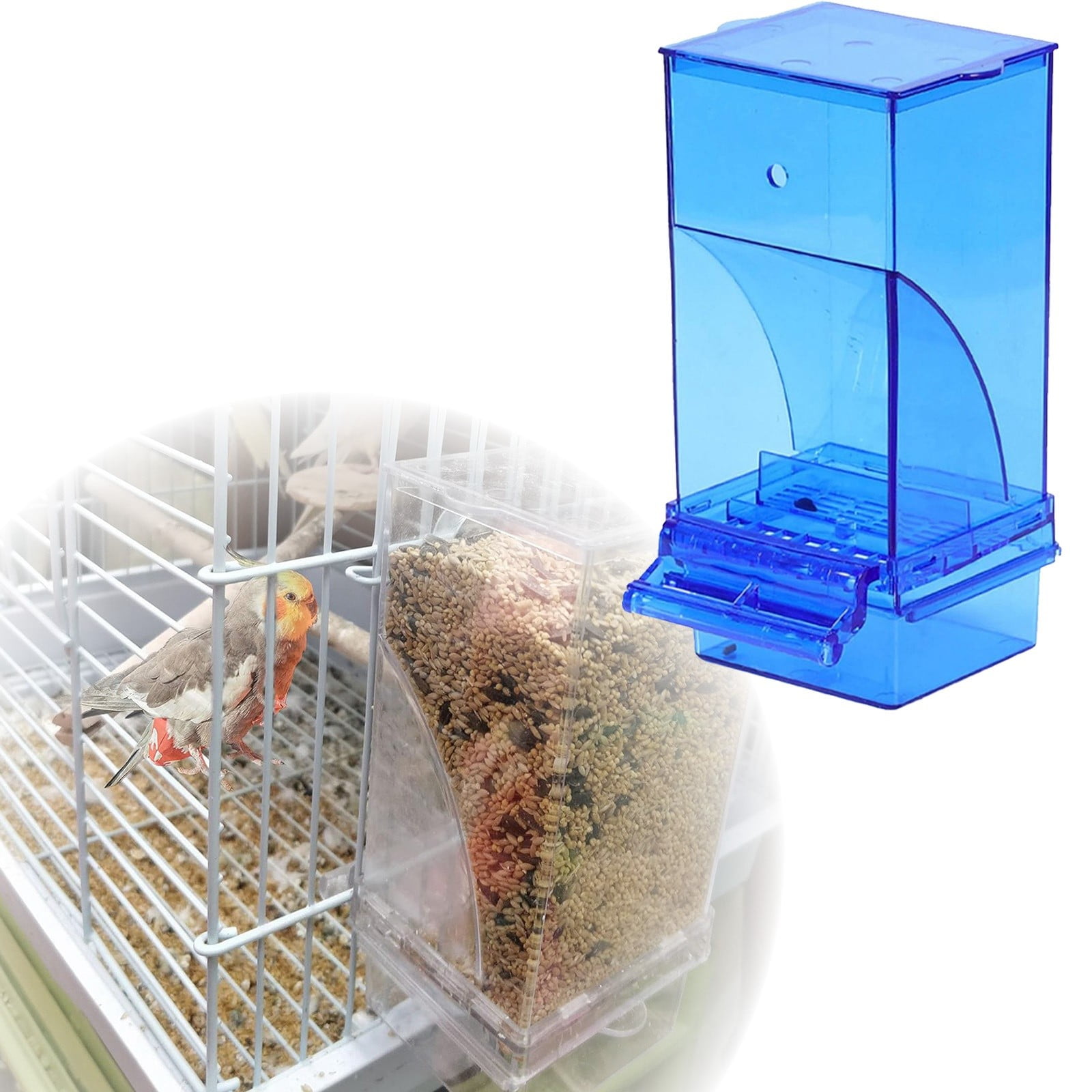 Squirrel Head Squirrel Feeder Birdseed Outdoor for Birds outside Bird ...