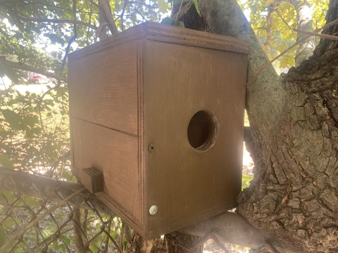 Squirrel House - Very Sturdy Outdoor Wooden Chipmunk Nesting Box To ...