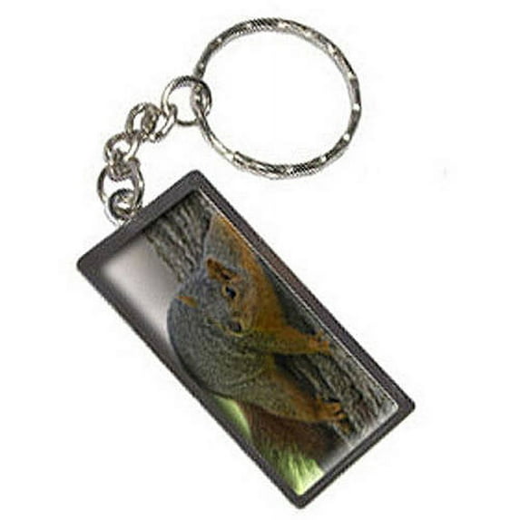 Squirrel Keychain Key Chain Ring - Walmart.com
