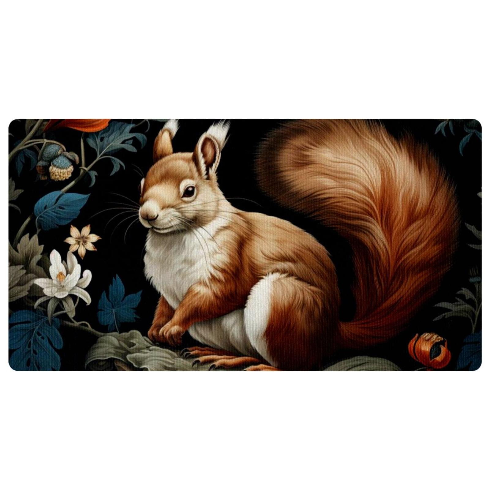 Squirrel Kitchen Rug, Absorbent Runner Mat for Floor, Washable Standing ...
