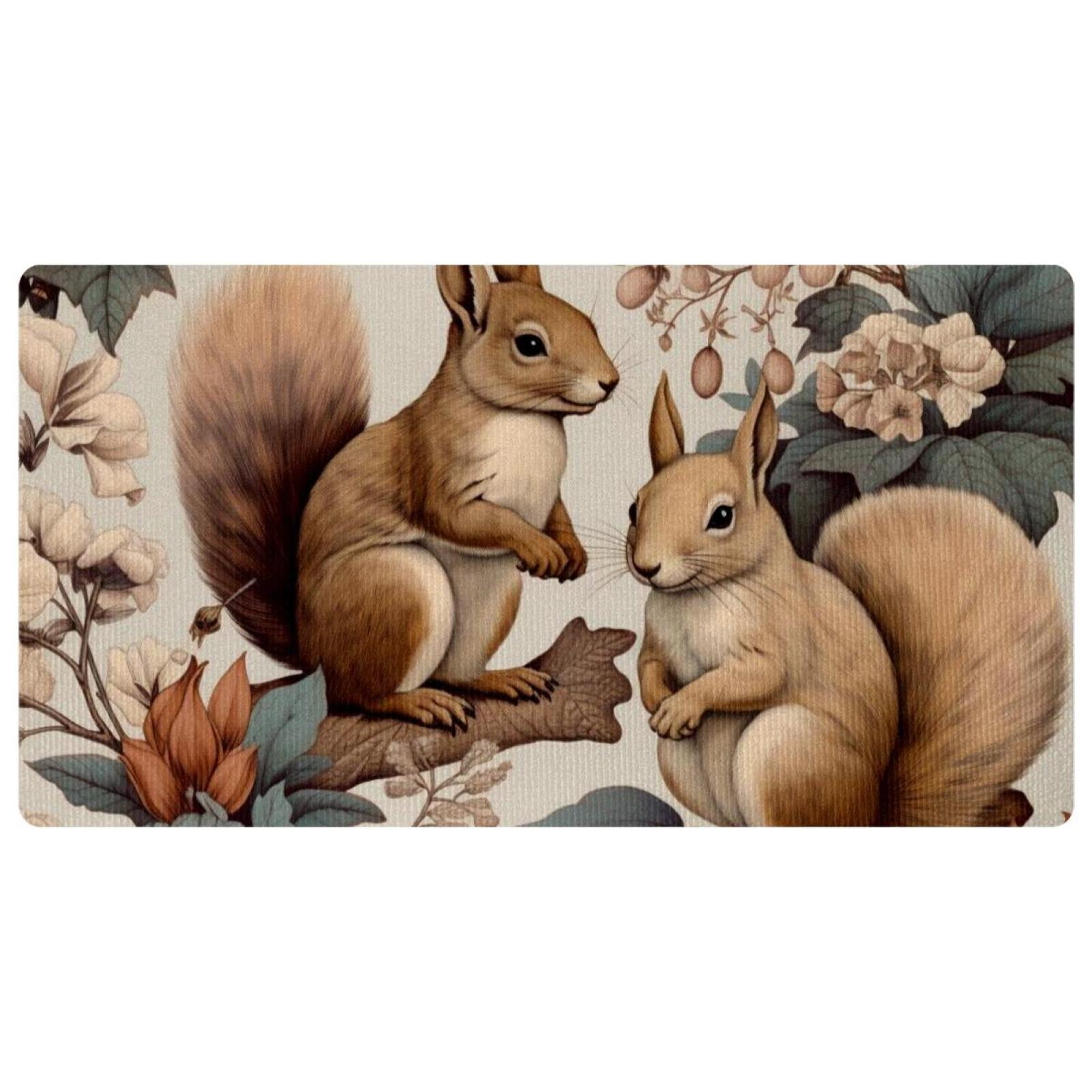 Squirrel Kitchen Rug, Washable Kitchen Rugs , Runner Mat for Floor ...