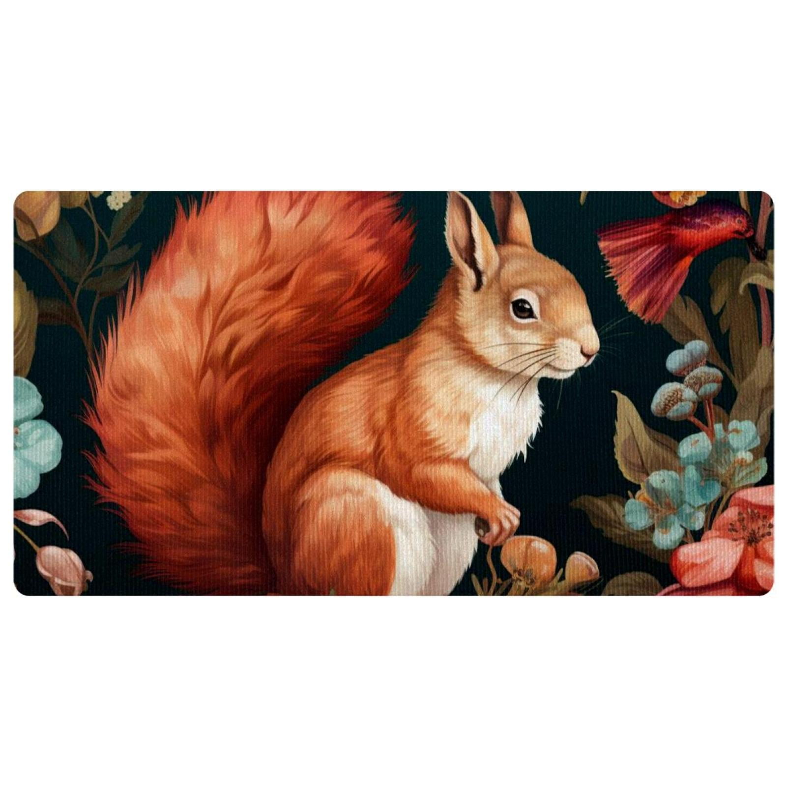Squirrel Kitchen Rugs Non Skid Kitchen Mats for Floor Cushioned Anti ...