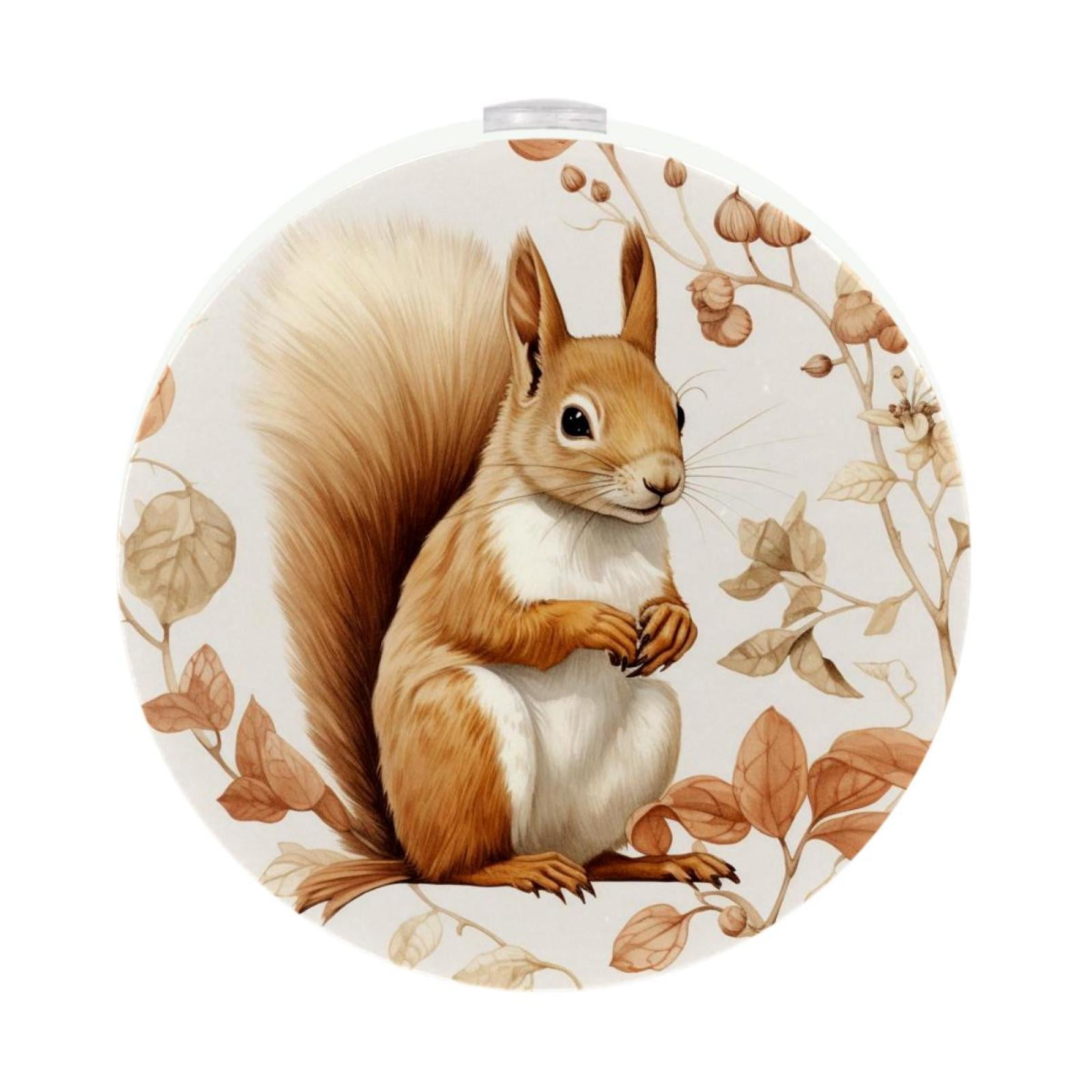 Squirrel LED Round Night Light - 2 Pack, Plug-in Motion Sensor Wall ...
