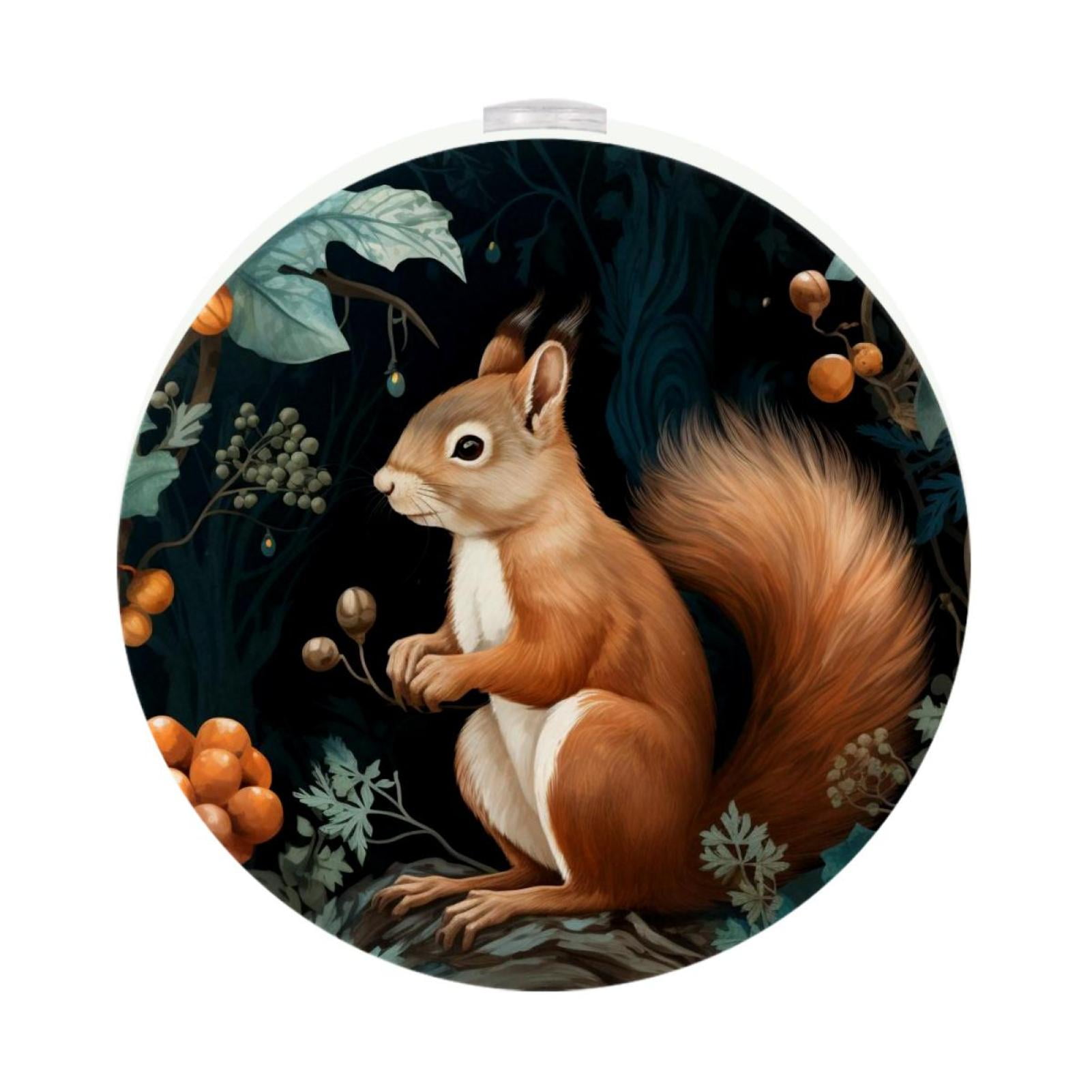 Squirrel LED Round Night Light-2PCS, Dimmable Plug-in Wall Lamp with ...