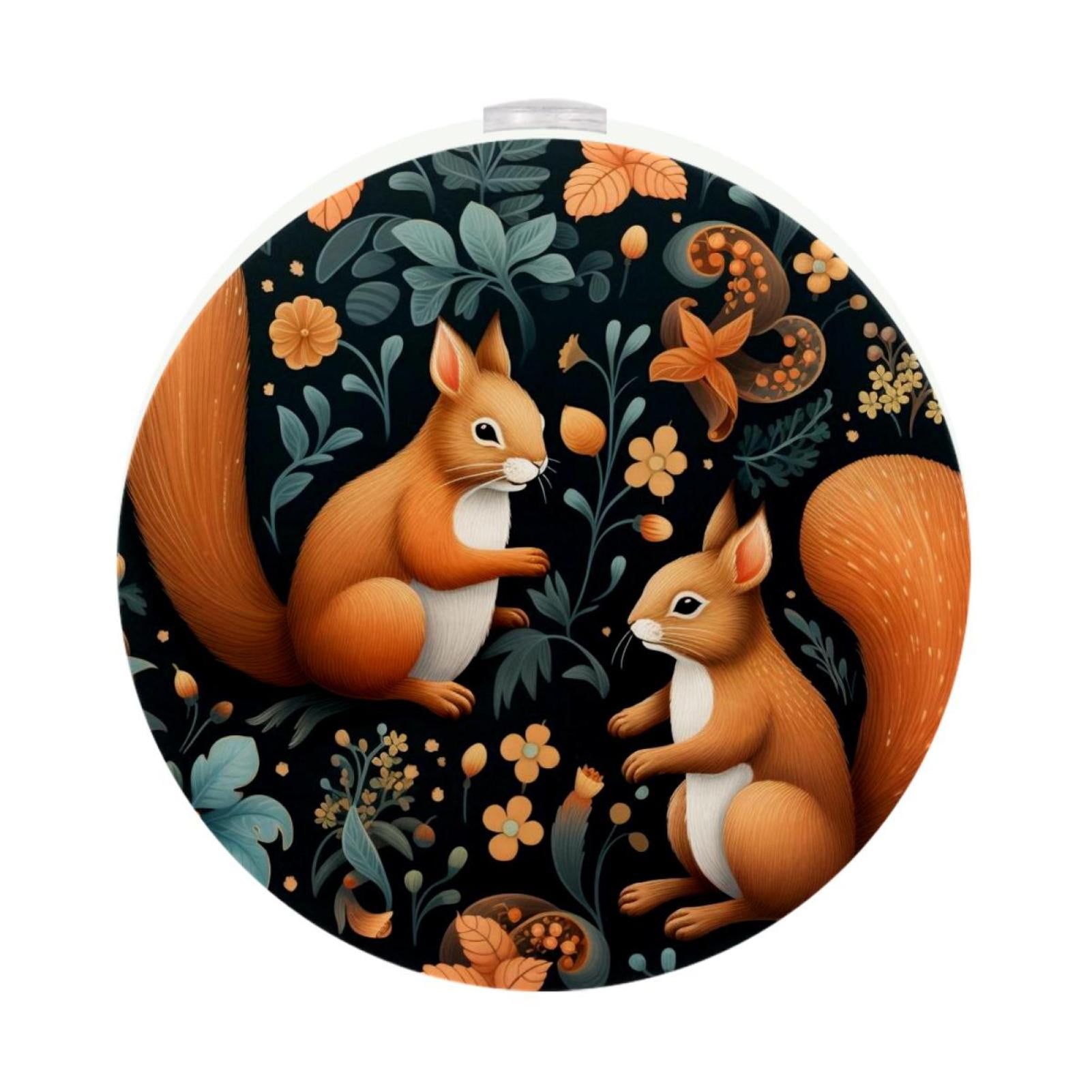 Squirrel LED Round Night Light - 2PCS, Plug-in Dusk-to-Dawn Sensor ...