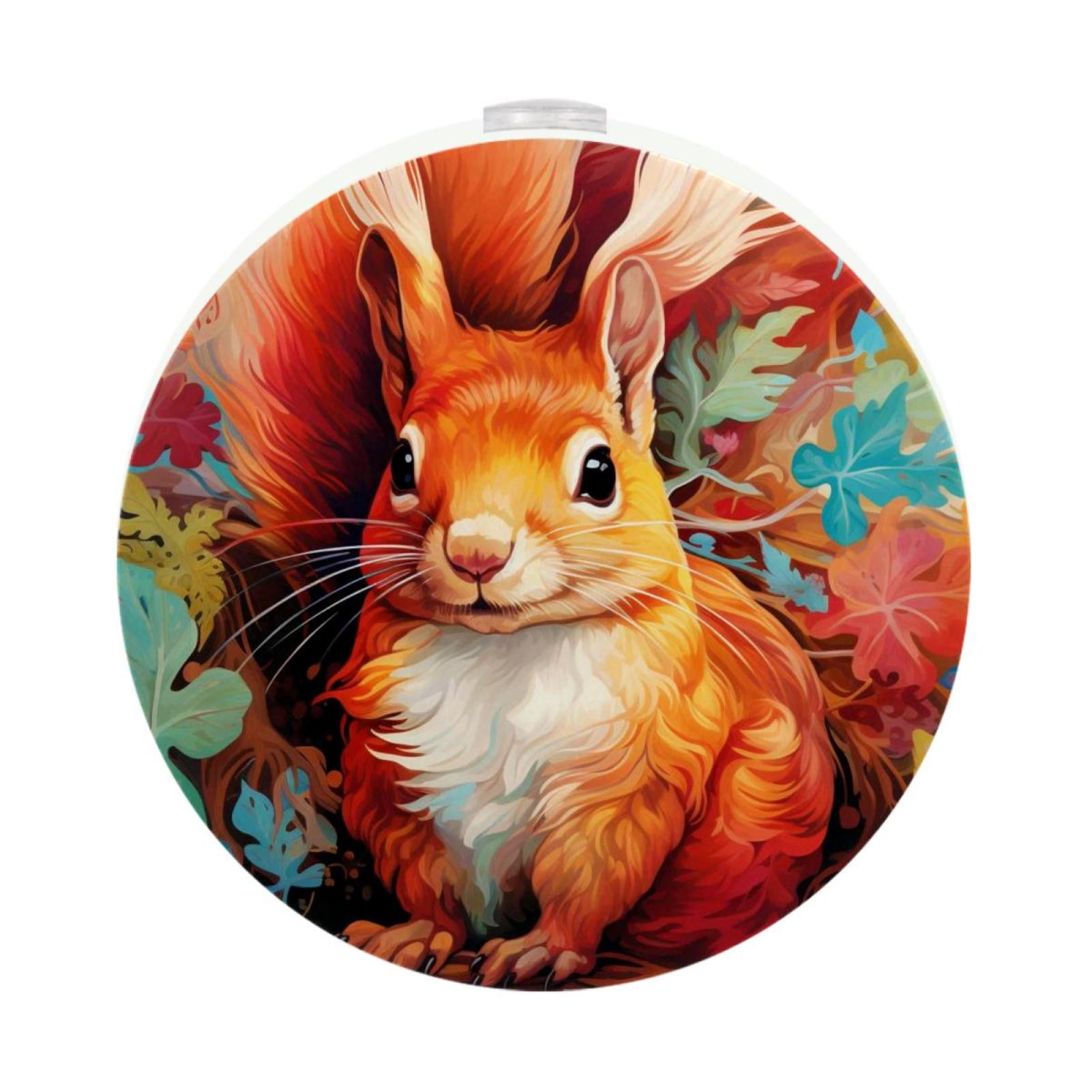 Squirrel LED Round Night Light-2PCS, Plug-in Mini Wall Socket Soft ...