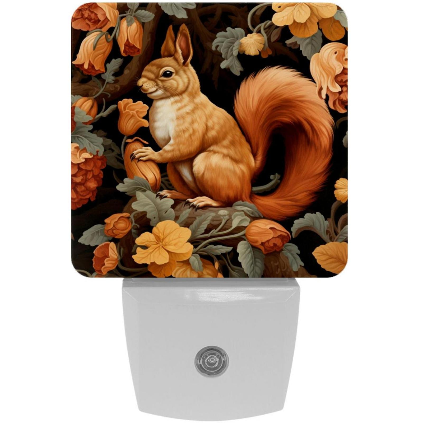 Squirrel LED Square Night Light - Compact and Energy Efficient ...