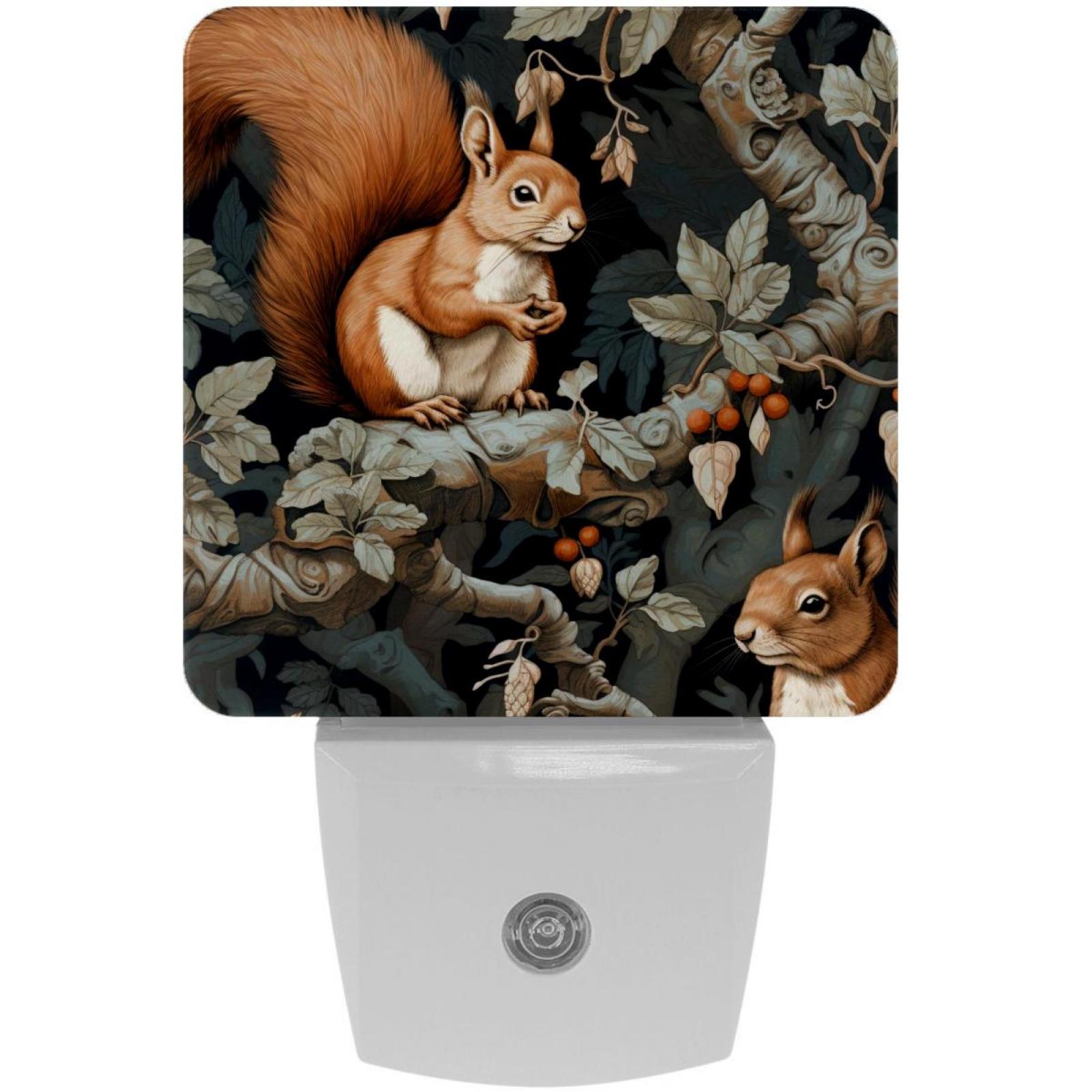 Squirrel LED Square Night Light - Energy Efficient and Stylish ...