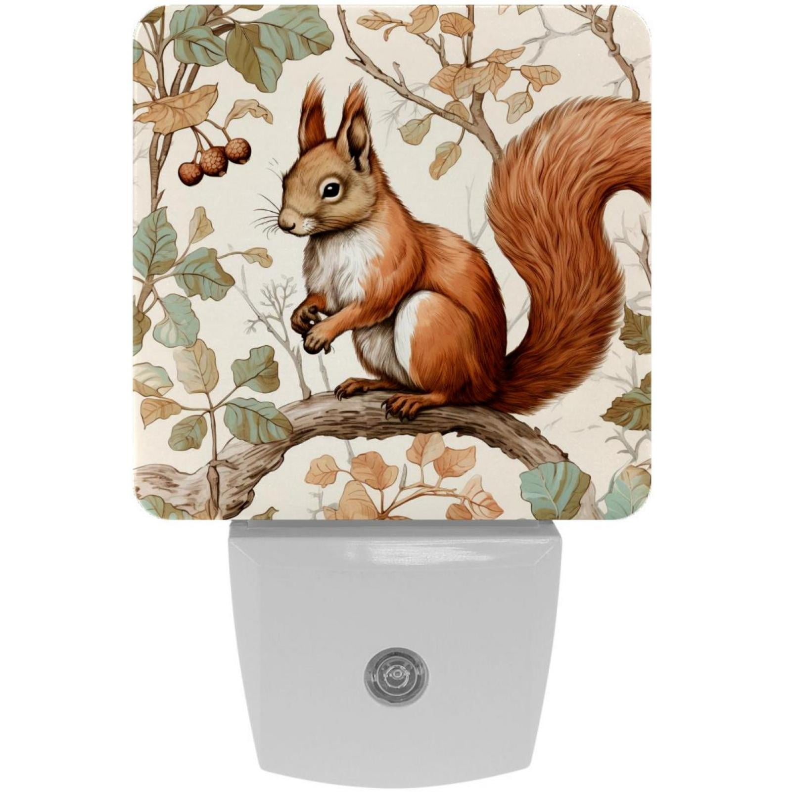 Squirrel LED Square Night Light - Small and Bright Square-shaped LED ...